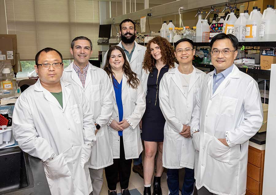 Finding a cure for cancer, one DNA damage pathway at a time ...