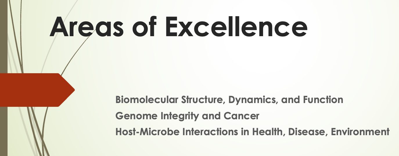 Research - Department of Biological Sciences